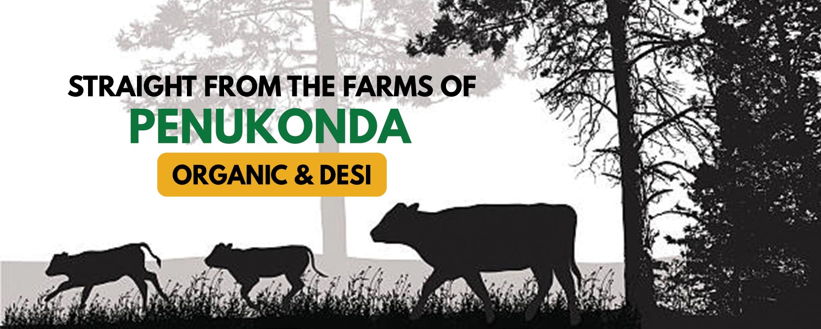 Hebbevu Fresh : Buy Pure Organic and Healthy Foods Online