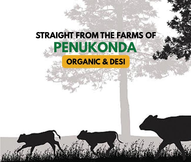 Hebbevu Fresh : Buy Pure Organic and Healthy Foods Online